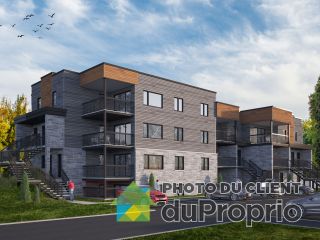 Appartements, maisons à louer, St-Nicolas | DuProprio