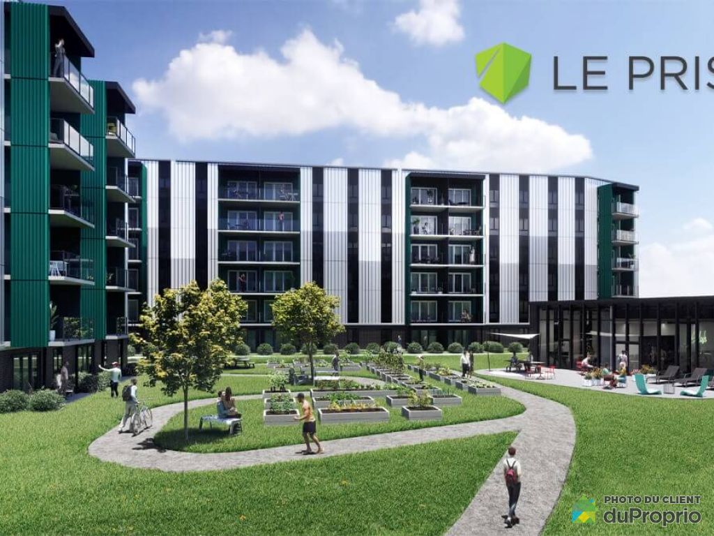 Gatineau Apartments, houses for rent | DuProprio