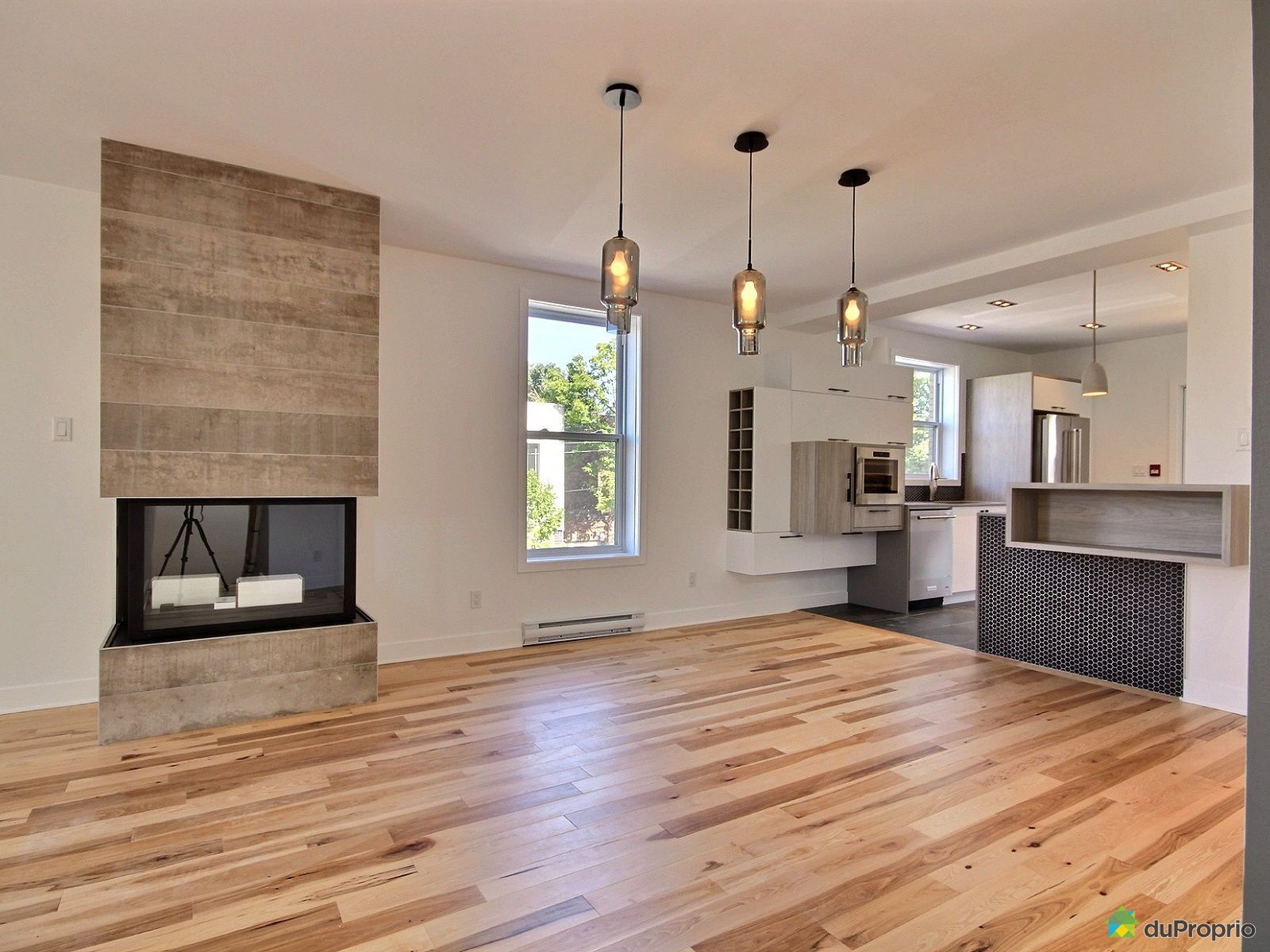 foyer-condo-montreal-sud-ouest-1600-7953466.jpg