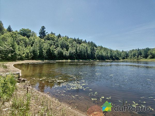 Condos, maisons à vendre, Gore | DuProprio