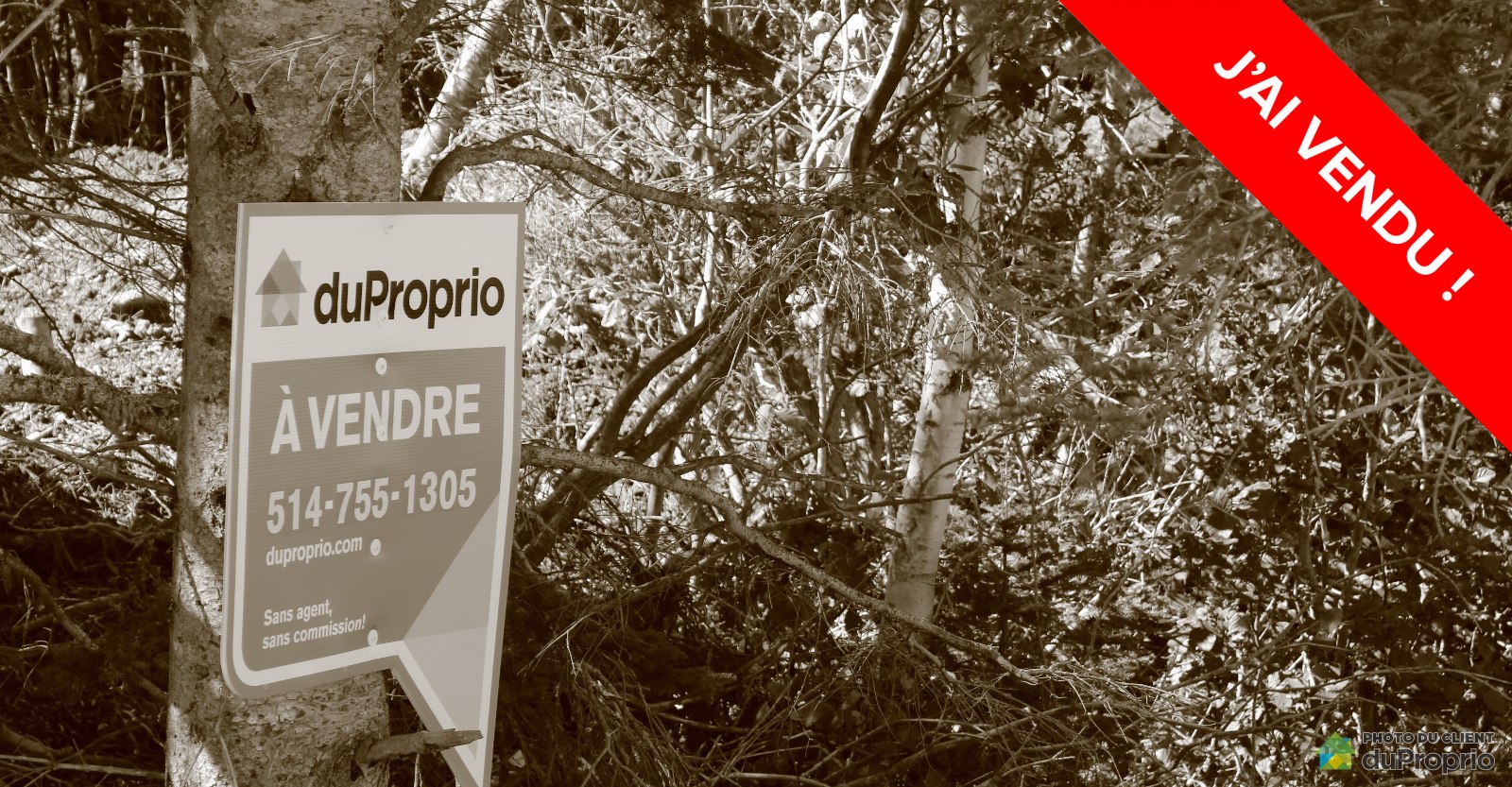 boise-terre-a-bois-perce-1600-12621100-vendu.jpg