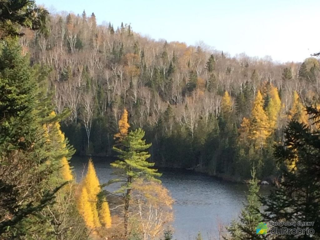 Condos, maisons à vendre, Val-David | DuProprio