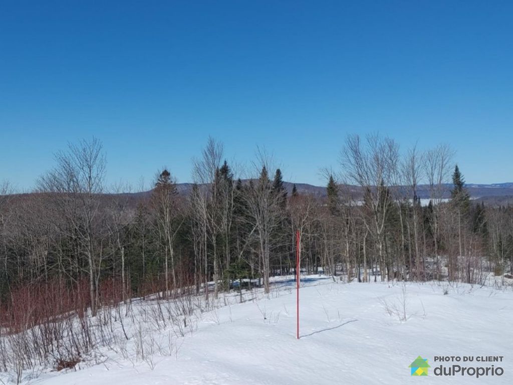 Condos, maisons à vendre, Shannon