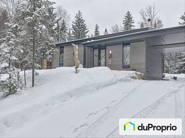 Condos, maisons à vendre, Val-David