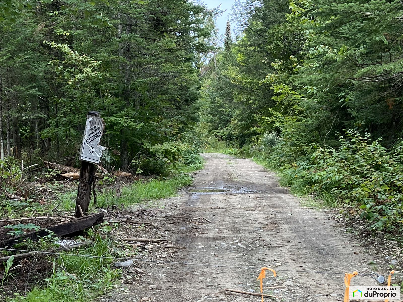 Terre à bois à vendre St-Gilbert #1057408