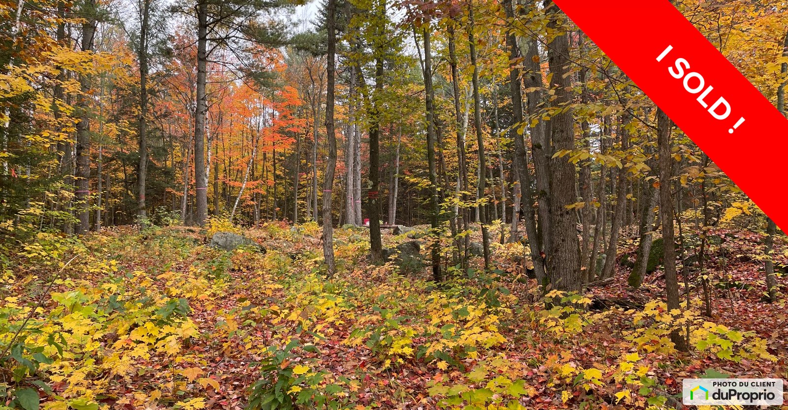 terrain-residentiel-st-calixte-1600-14000033-sold.jpg