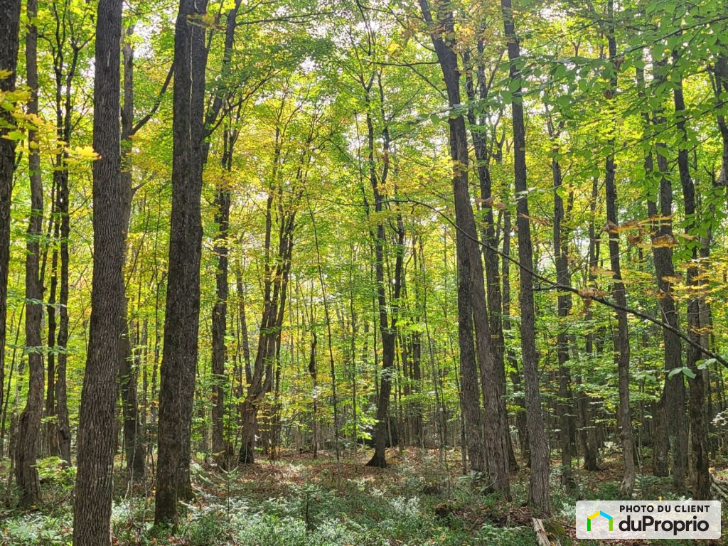 Lots and lands for sale, Quebec Real Estate - DuProprio