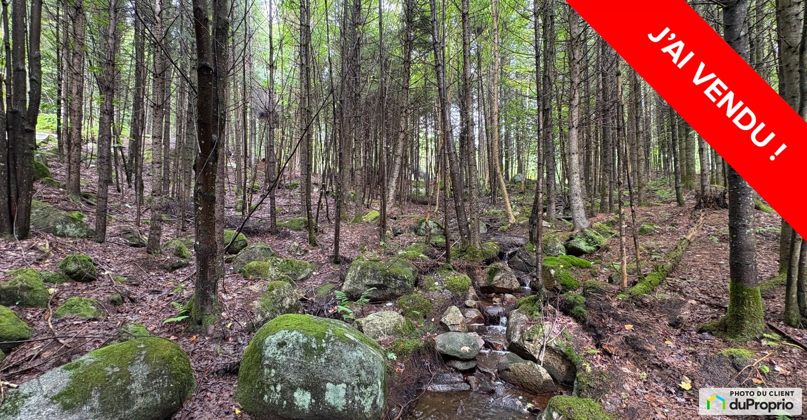 ruisseau-terrain-residentiel-st-ubalde-1600-15224443-vendu.jpg
